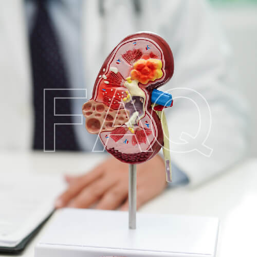 KidneyNeeds - Holistic app for all your Kidney's needs
