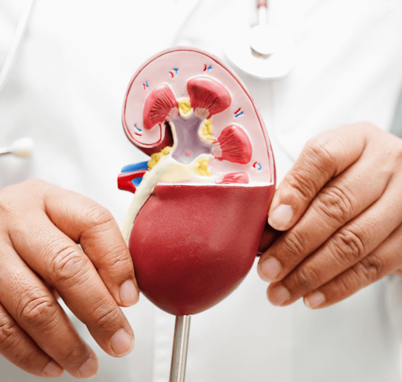 KidneyNeeds - Holistic app for all your Kidney's needs